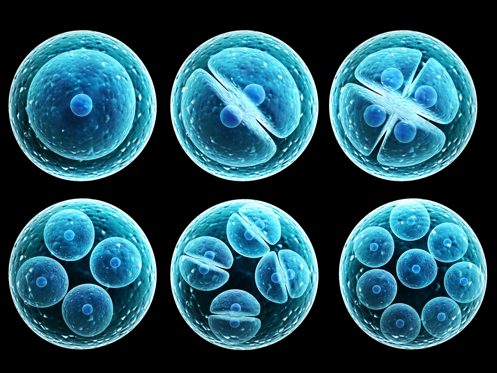 How Does Flow Cytometry Work? | NanoCellect